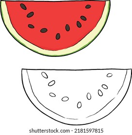 Half Watermelon Illustration Perfect Practicing Coloring Stock Vector ...
