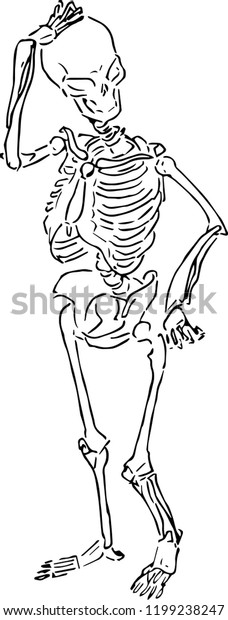 Halloween Skeleton Scratching His Skull Stock Vector (Royalty Free ...