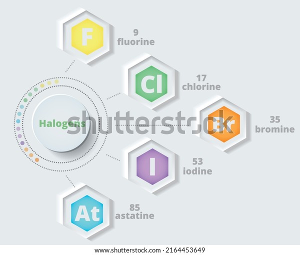 Halógenos. 7Grupo de la tabla periódica.: vector de stock (libre de ...