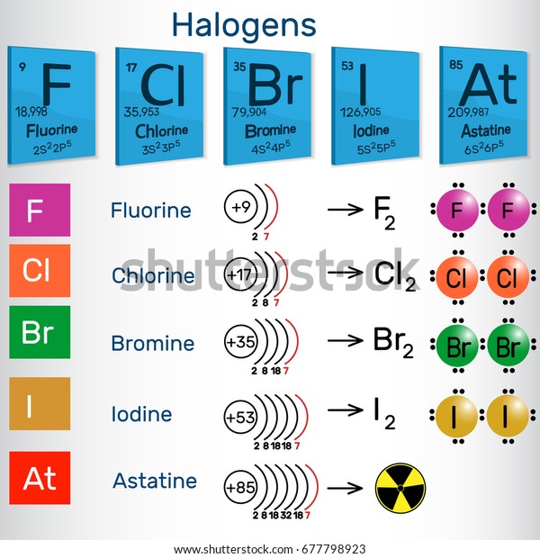 Halogens Chemical Elements Periodic Table Vector Stock Vector (Royalty ...