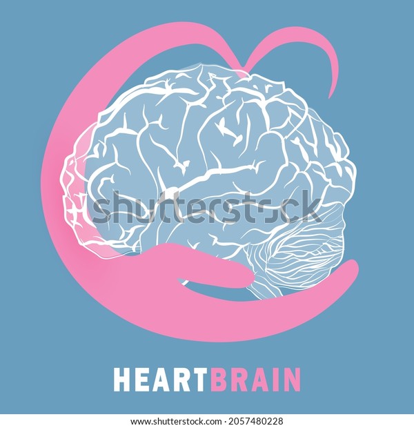 Halves Heart Brain That Hugging Warm Stock Vector (Royalty Free ...