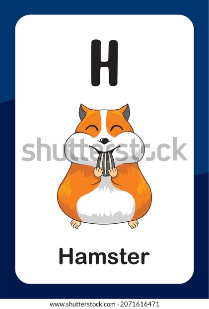 Hamster Animals Alphabet Flash Card Education Stock Vector (Royalty ...