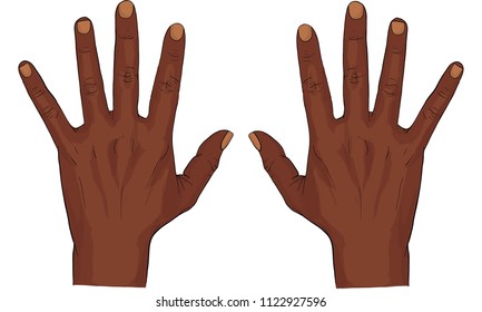 Hand Action Vector Hand Palm Stock Vector (Royalty Free) 1122927596 ...