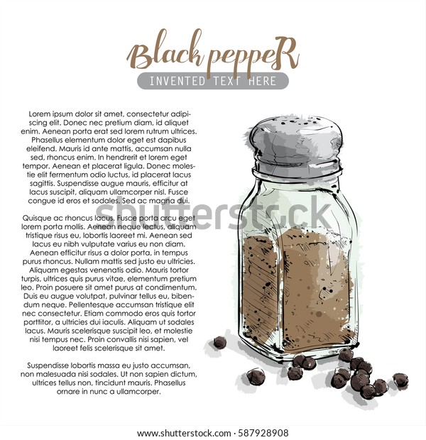 Hand Draw Black Pepper Shaker Vector Stock Vector (Royalty Free ...