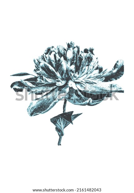 Hand Draw Flower Retro Style Distress Stock Vector (Royalty Free ...