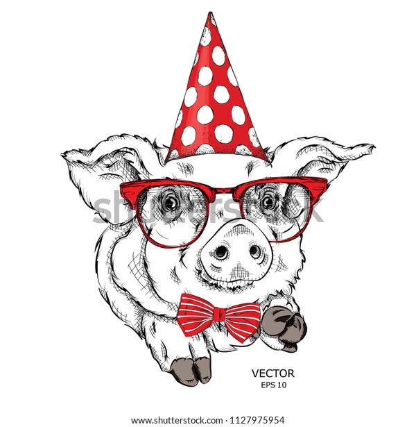 Hand Draw Pig Celebratory Cap Vector Stock Vector (Royalty Free ...
