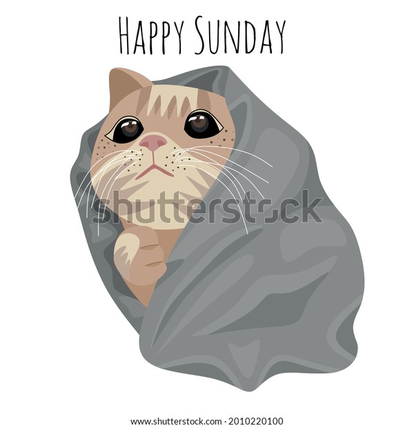 Hand Draw Semi Realistic Cat Wrapped Stock Vector (Royalty Free ...