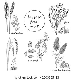 Hand Draw Set Lactose Free Milk Stock Vector (Royalty Free) 2003835413 ...