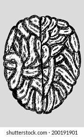 Hand Draw Sketch Brain: เวกเตอร์สต็อก (ปลอดค่าลิขสิทธิ์) 200191901 ...