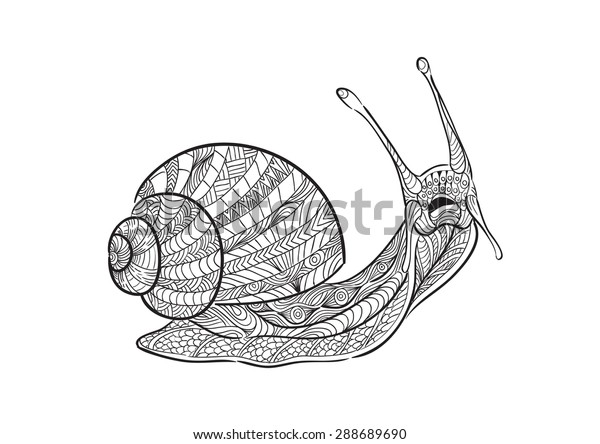Hand Draw Snail Zentangle Style Stock Vector (Royalty Free) 288689690