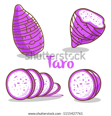 Hand Draw Taro Isolated On White Stock Vector (Royalty Free) 1115427761 ...