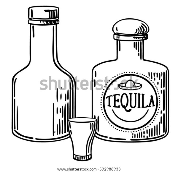 Hand Draw Tequila Bottle Glass On Stock Vector (Royalty Free) 592988933