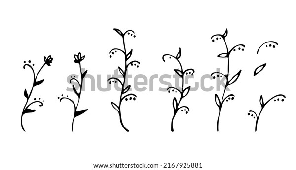 Hand Drawb Ink Plants Set Isolated Stock Vector (Royalty Free ...