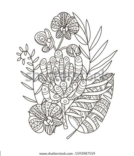 Hand Drawing Coloring Pages Children Adults: เวกเตอร์สต็อก (ปลอดค่า ...