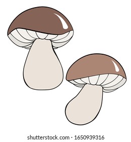 Hand Drawing Edible Mushrooms Vector Doodle Stock Vector (Royalty Free ...