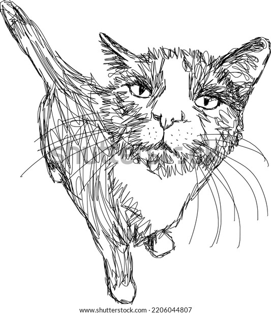 Hand Drawing Funny Cat Isolated Vector Stock Vector (Royalty Free ...