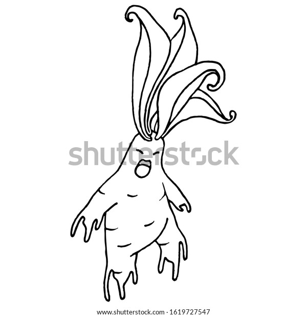 Hand Drawing Illustration Vector Illustration Mandrake : image ...