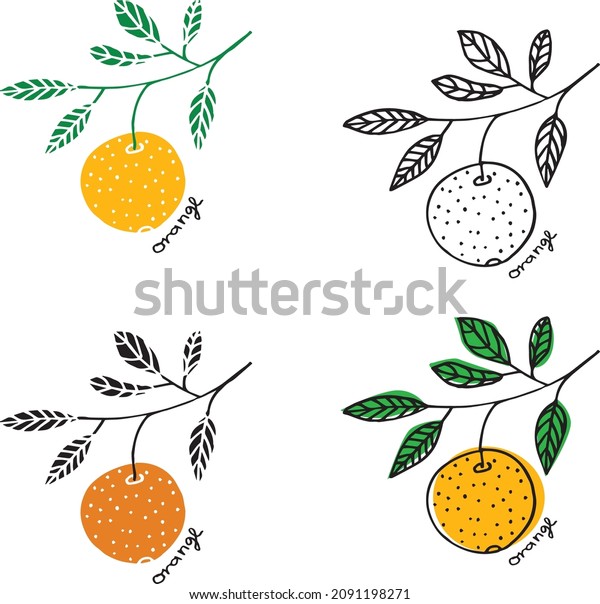 Hand Drawing Orange Illustration Sketch Stock Vector (Royalty Free ...