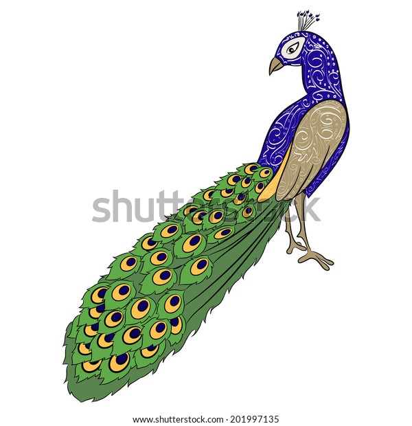Hand Drawing Peacock 2 Stock Vector (Royalty Free) 201997135