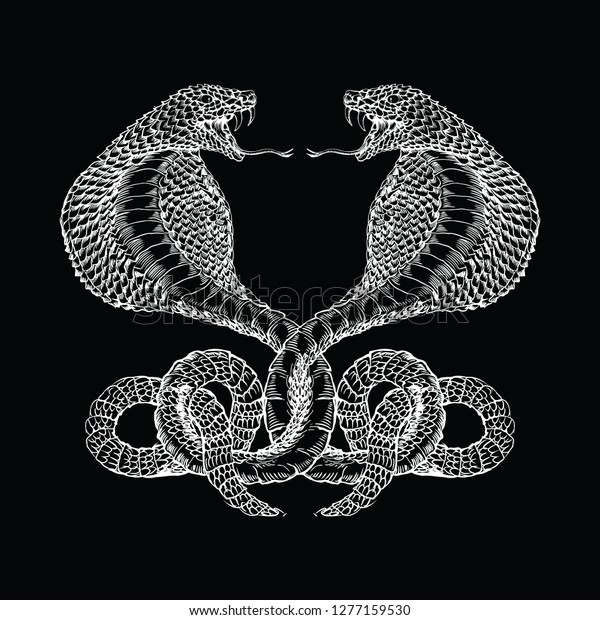 Hand Drawing Sketch Two Cobras Style Stock-vektor (royaltyfri ...