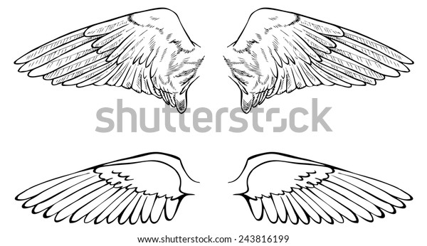 Hand Drawing Two Pairs Wings On Stock Vector (Royalty Free) 243816199