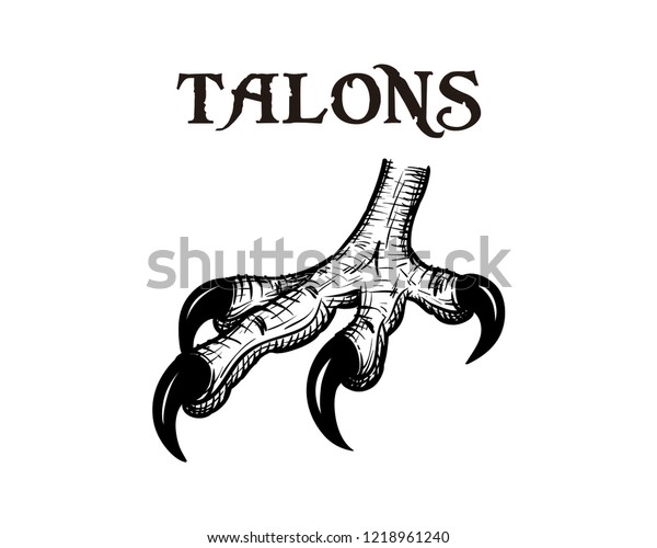 Hand Drawing Vector Eagle Claws Talons Stock Vector (Royalty Free ...