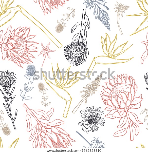 Hand Drawn African Flowers Vector Seamless Stock Vector (Royalty Free ...