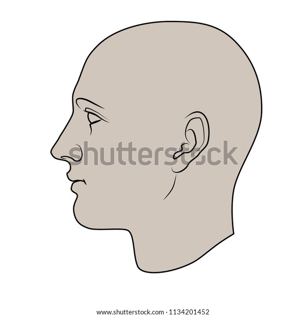 Hand drawn androgynous, gender-neutral human head in profile. Flat ...