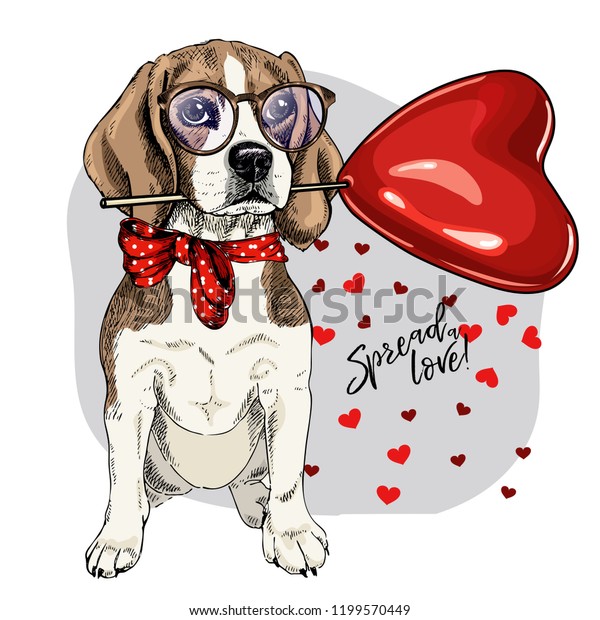 Hand Drawn Beagle Heart Shape Baloon Stock Vector (Royalty Free ...