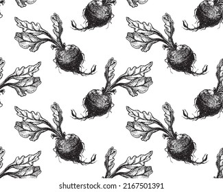 Hand Drawn Beetroot Leafs Sketch Vintage Stock Vector (Royalty Free ...