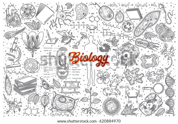 Hand Drawn Biology Doodle Set Background Stock Vector (Royalty Free ...