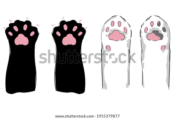 Hand Drawn Black Cat Paws Claws Stock Vector (Royalty Free) 1955379877 ...