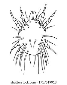 Hand Drawn Black Outline Vector Illustration Stock Vector (Royalty Free ...