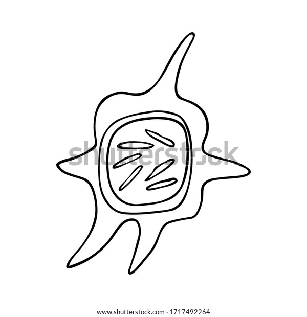 Hand Drawn Black Outline Vector Illustration Stock Vector (Royalty Free ...