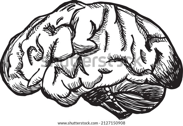 1,733 Psycho Brain Images, Stock Photos & Vectors | Shutterstock