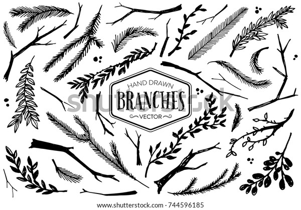 Hand Drawn Branches Twigs Ink Illustration Stock Vector (Royalty Free ...