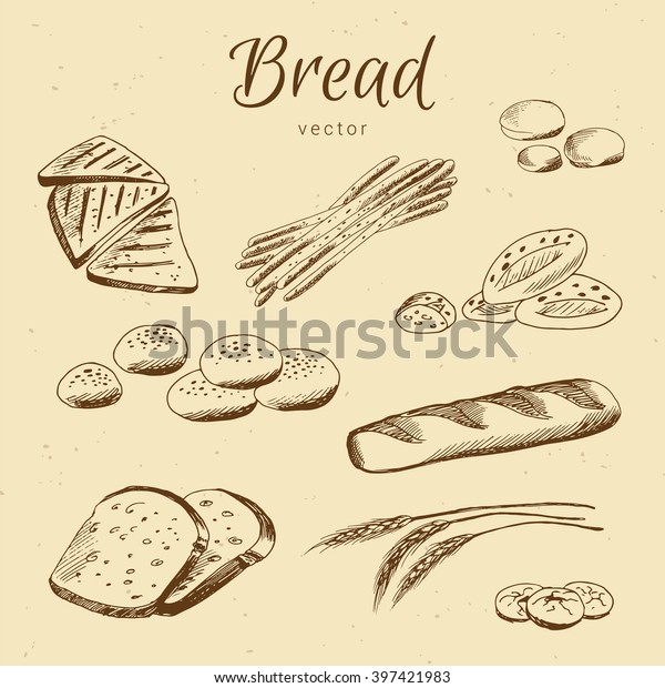Hand Drawn Bread Buns Toast Breadsticks Stock Vector (Royalty Free ...