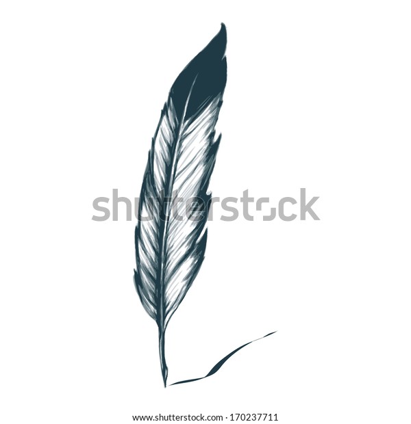 Hand Drawn Classic Ink Feather Stock Vector (Royalty Free) 170237711