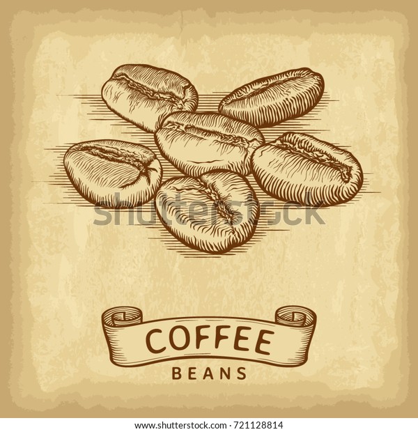 Hand Drawn Coffee Beans Ribbon Banner Stock Vector (Royalty Free ...