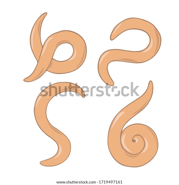 Hand Drawn Colorful Roundworm Set Vector Stock Vector (Royalty Free ...