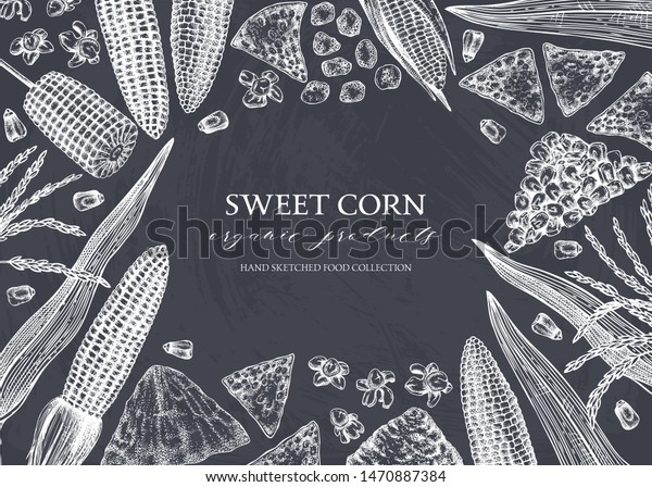 Hand Drawn Corn Design On Chalkboard Stock Vector (Royalty Free ...
