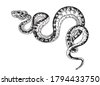 3,408 Snake Side View Royalty-Free Images, Stock Photos & Pictures ...