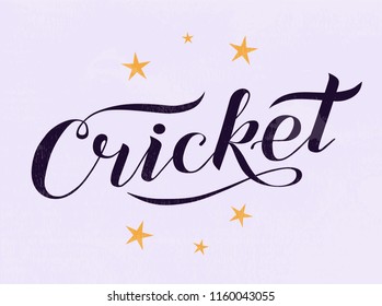 Hand Drawn Cricket Gradient Lettering Text Stock Vector (Royalty Free ...