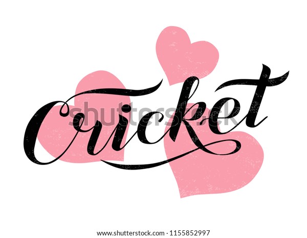 Hand Drawn Cricket Lettering Text On Stock Vector (Royalty Free ...