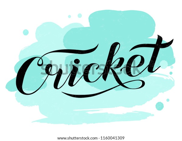Hand Drawn Cricket Lettering Text On Stock Vector (Royalty Free ...