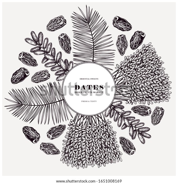 Hand Drawn Dates Leaves Fresh Dried Stock Vector (Royalty Free) 1651008169