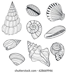 Hand Drawn Decorative Seashells Isolated On Stock Vector (Royalty Free ...