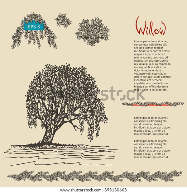 Hand Drawn Decorative Willow Tree Vector Stock Vector (Royalty Free ...