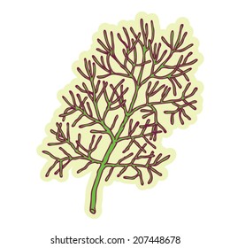 Hand Drawn Dill Cartoon Vector: เวกเตอร์สต็อก (ปลอดค่าลิขสิทธิ์ ...
