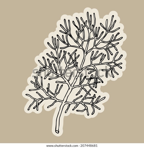 Hand Drawn Dill Cartoon Vector Stock Vector (Royalty Free) 207448681 ...